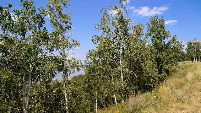 🌿 СЕМЕЙНЫЙ WEEKEND НА БЕРЕГУ ЛЕГЕНДАРНОГО ДРАВЕРТА! 🔥