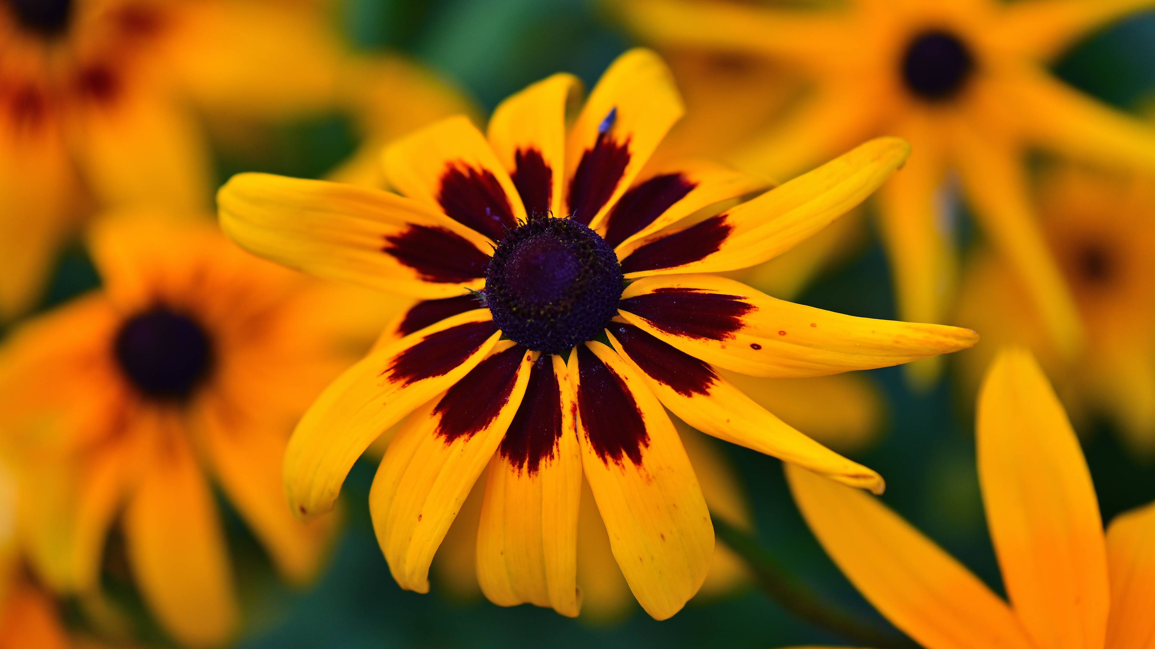 Палитра августа 14.7.25. В клипе звучит адаптированная композция Юлии Монастыренко "Путь_к_себе".