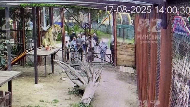 ШарХан Цап царап 17.08.2025 полная версия