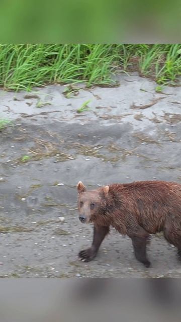 Особенности работы в дикой природе😁