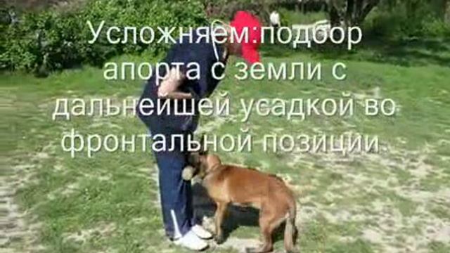 Обучение апортировке, часть 2. Уроки от Команды Азарт