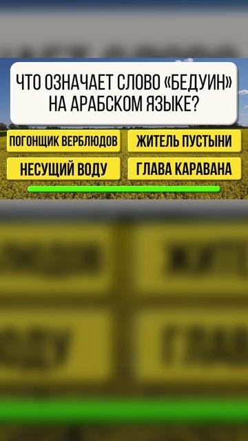 Что означает слово «бедуин» на арабском языке? - Тест 11