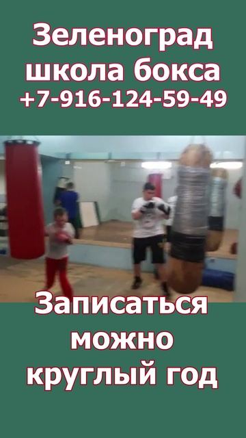 Новости спорта. Бокс в Зеленограде для детей