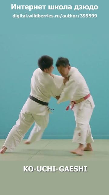 4Интернет школа дзюдо. Контрприём от подсечки изнутри.KO-UCHI-GAESHI.