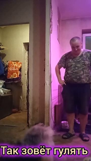 Лекарство" от хандры и одиночества