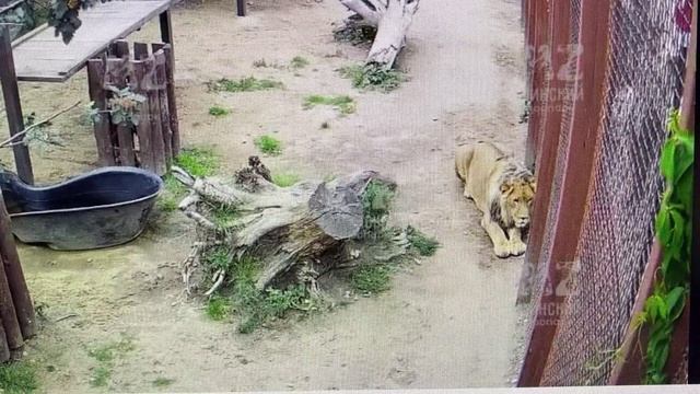 ШарХан. Фотосессия. Специально для вас и другие приключения 17.08.2025