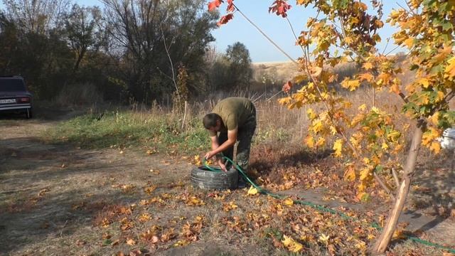 Удобное хранение садового шланга в старой автомобильной покрышке.