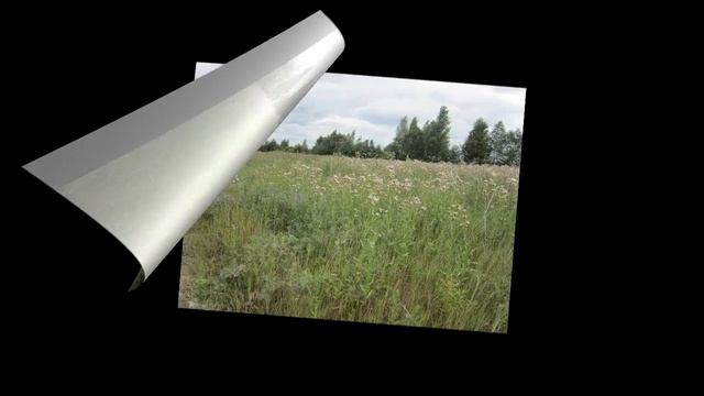 Что же ты, рябинушка стихи муз исп Надежда Коваленок фото видео Татьяна Талызина