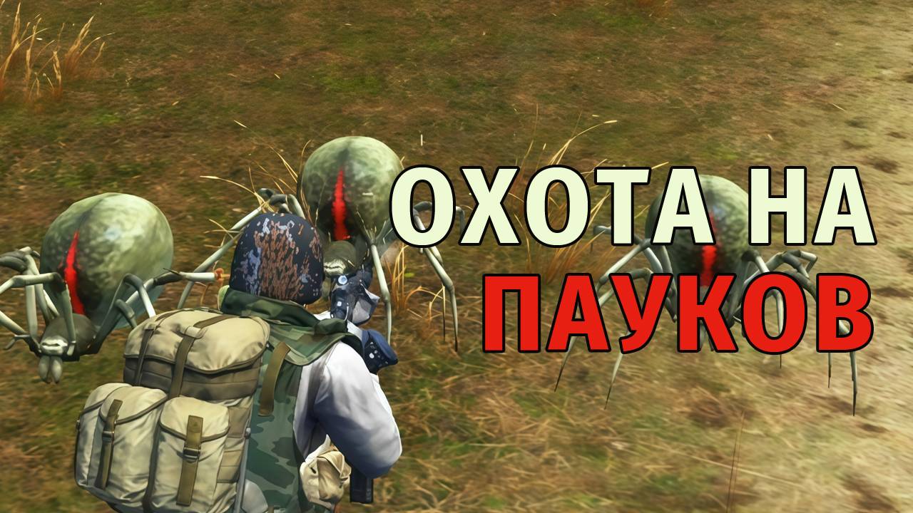 19. Охота на пауков в Чёрном лесу. Stay Out | RU2