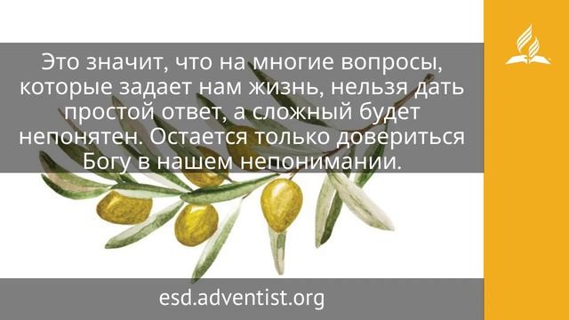 18 августа 2025. Ангелы понесут тебя. Под сенью благодати _ Адвентисты
