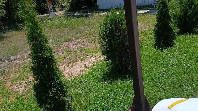 Чолпон-Ата Иссык-куль, красивая аллея на набережной, набережная, фантан,