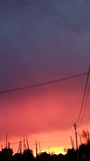 18-08-2025