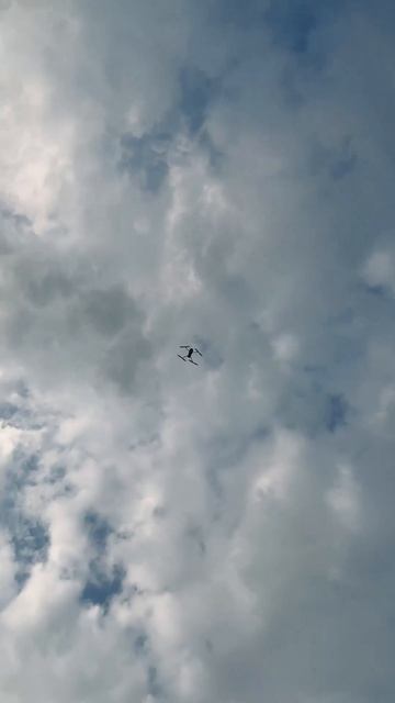 02. DONTRANSSERVICE.BACKSTAGE