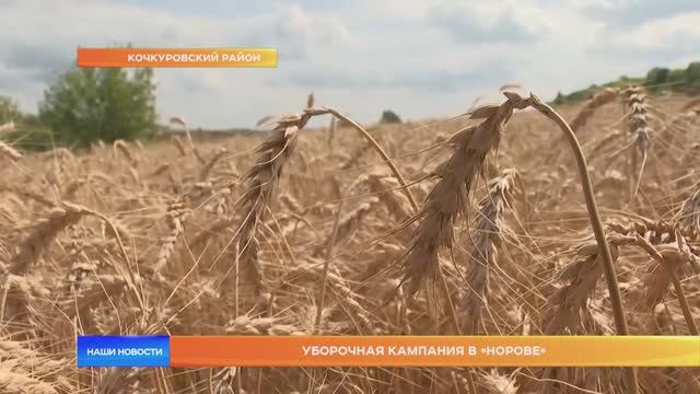 Уборочная кампания в «Норове»