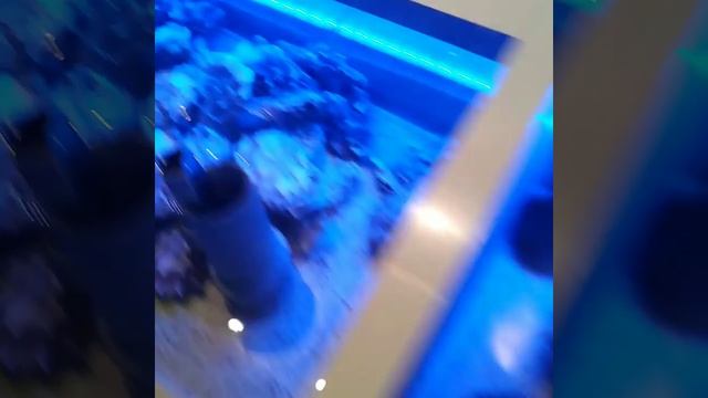 Серёга ГЛАМУР \ Лучший РЕСТОРАТОР