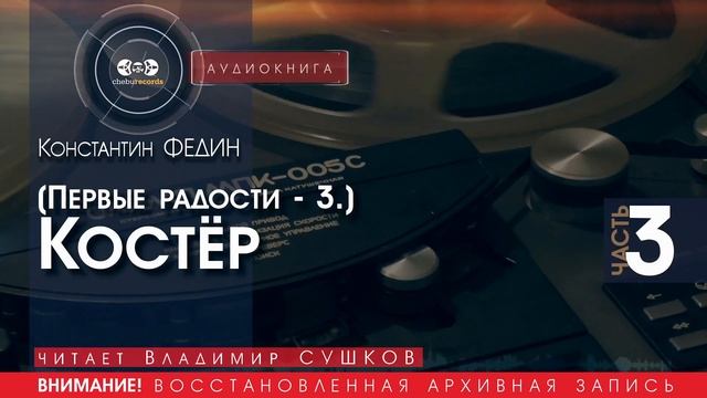 КОСТЁР (Первые радости 3) - часть 3 - Константин ФЕДИН (читает Владимир СУШКОВ) | аудиокниги слушать