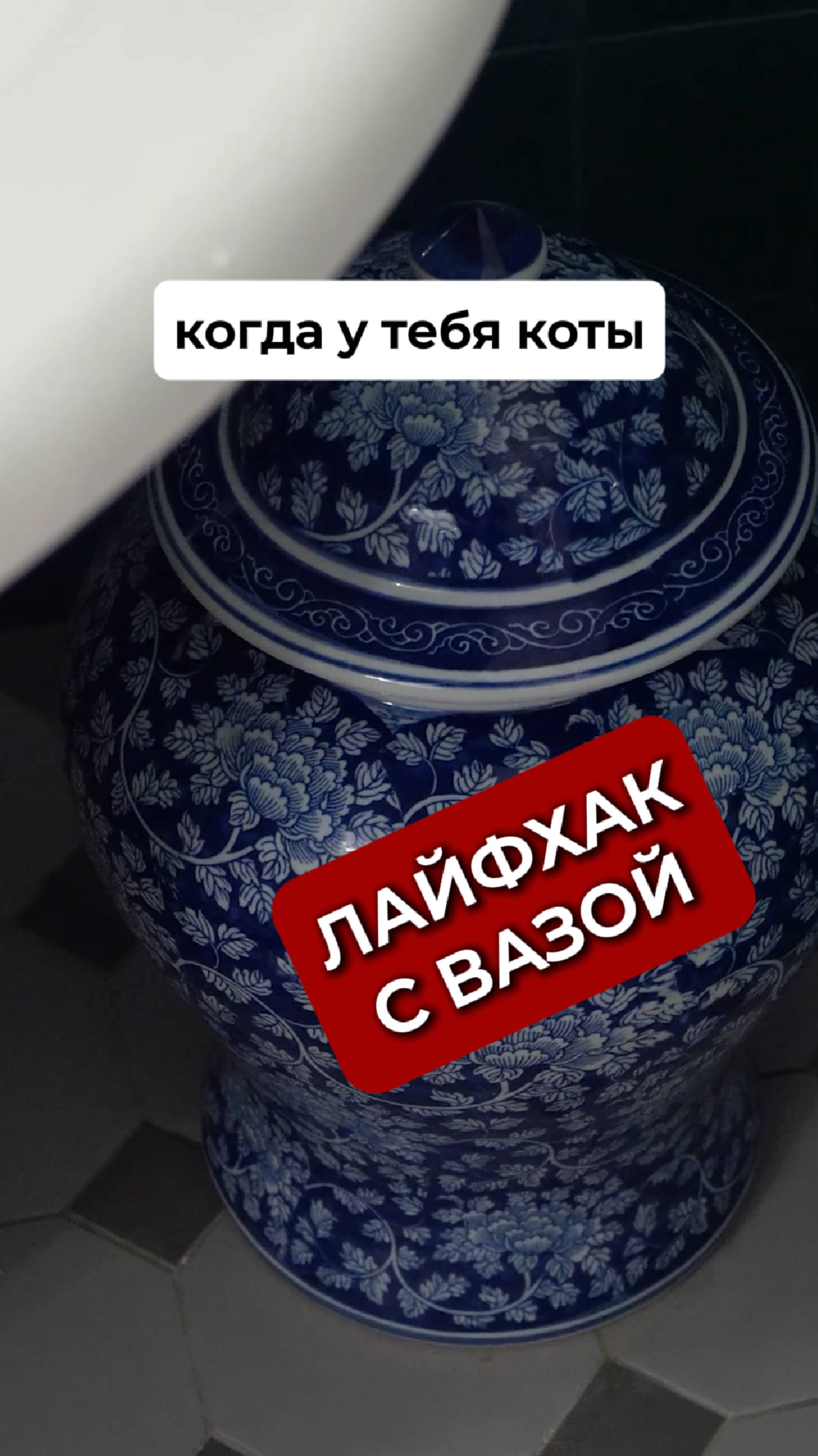 Китайцам вход воспрещен: что скрывают мои АНТИКВАРНЫЕ вазы?