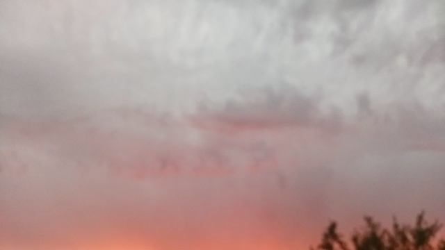 18-08-2025