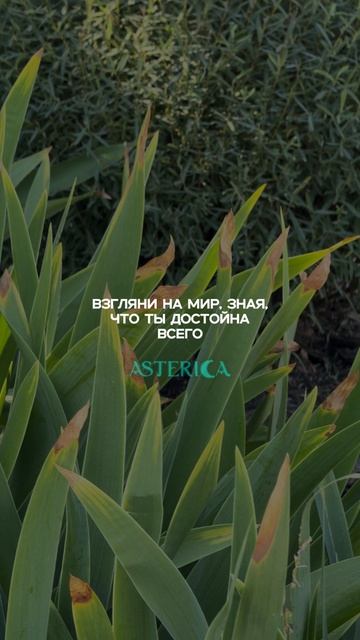 Можно ещё сто лет жаловаться на жизнь…