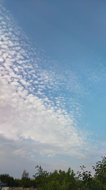 18-08-2025