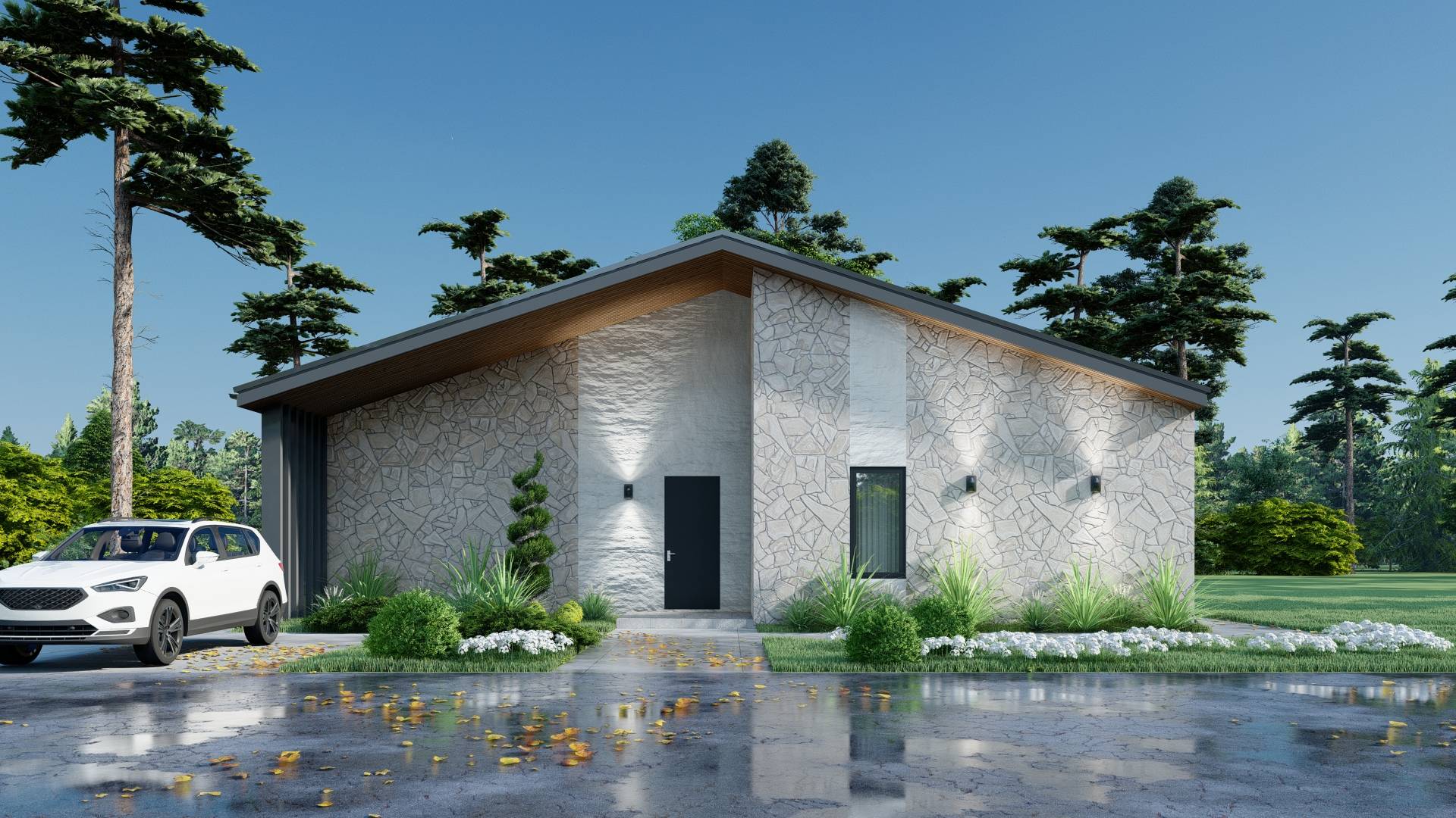 Проект одноэтажного дом, шале