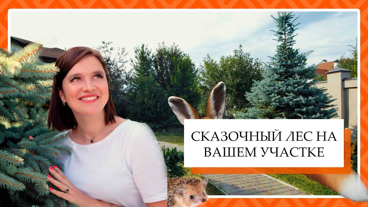 Обзор ландшафта с искусственным лесом на участке