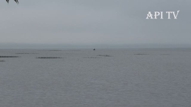 Таинственные туманы Плещеева озера - Экспедиция Андрея Полякова "Сакральный Север Руси -2025"