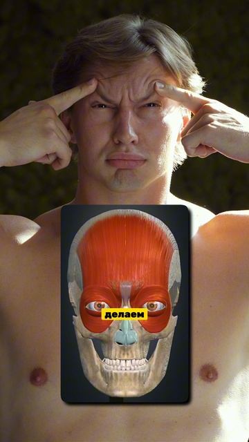 Упражнения для бровей