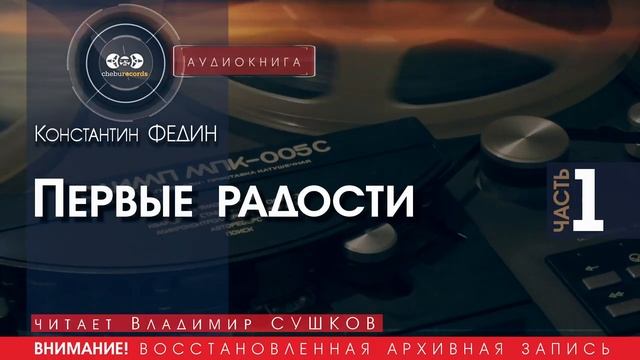 Первые радости - часть 1 - Константин ФЕДИН (читает Владимир СУШКОВ) | аудиокниги слушать бесплатно