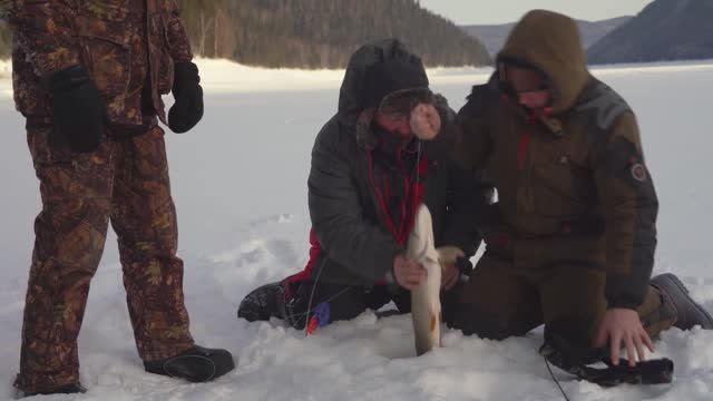 "НАРОДНЫЙ ПРОЕКТ СИБИРЬ"