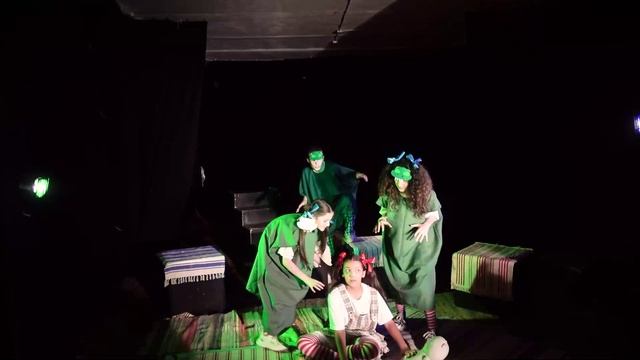 Театральный фестиваль. Спектакль «Логово слез».