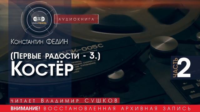 КОСТЁР (Первые радости 3) - часть 2 - Константин ФЕДИН (читает Владимир СУШКОВ) | аудиокниги слушать