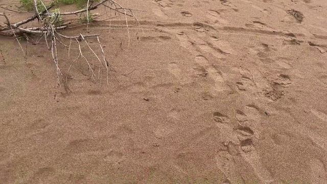 Трехдневный сплав по Чулыму.