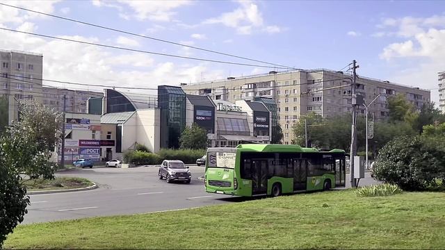 Придорожный цветок... Видео Виктор Поживин