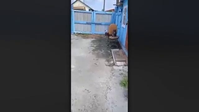 Новые лютые приколы из ТИК-ТОК #67