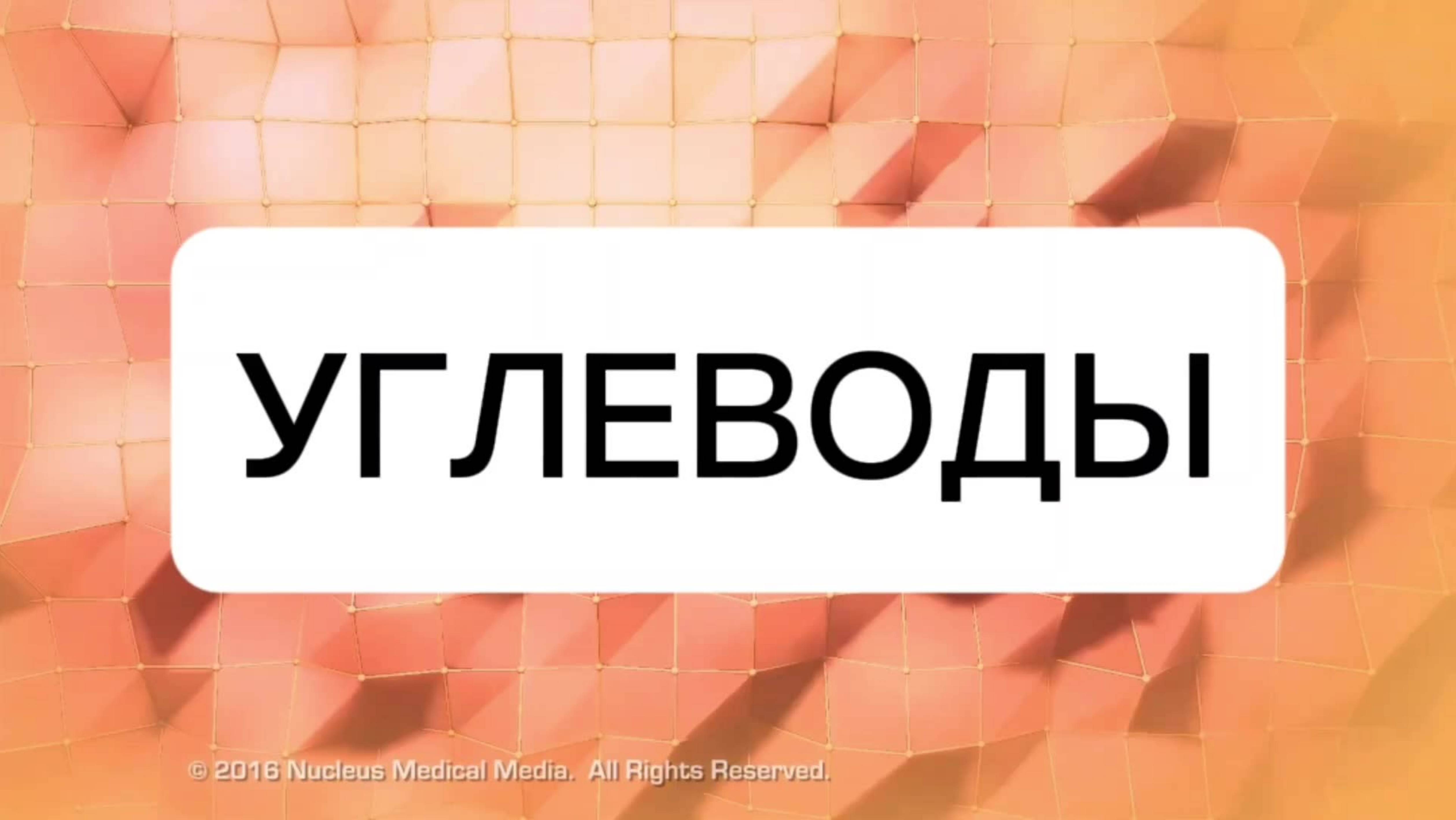 Углеводы