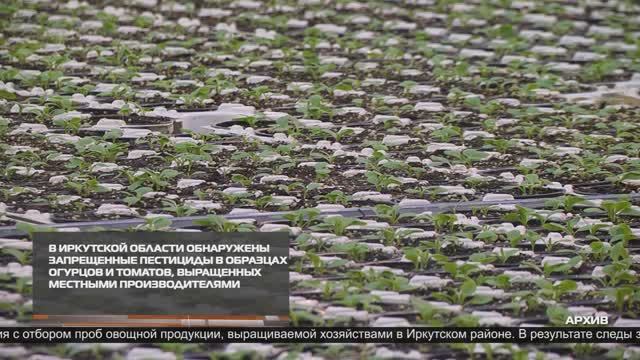 Новости ИРТ 18.08.2025