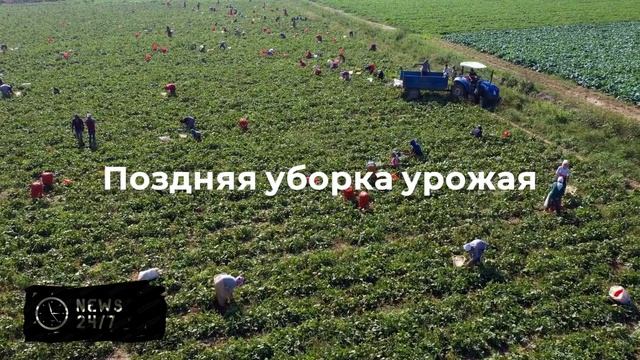 ВВП Белоруссии вырос в январе-июле 2025 года на 1,3%