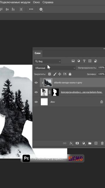 Туториал по Photoshop "как сделать двойную экспозицию" (ЦСИО)