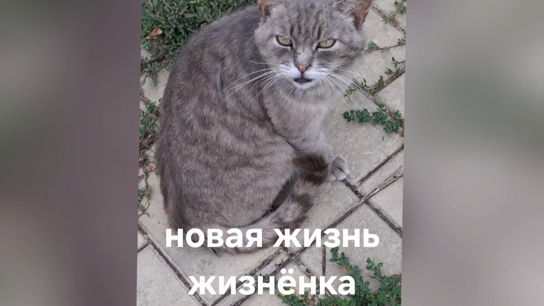 новая жизнь жизнёнка 1 сезон 1 серия название: где я?