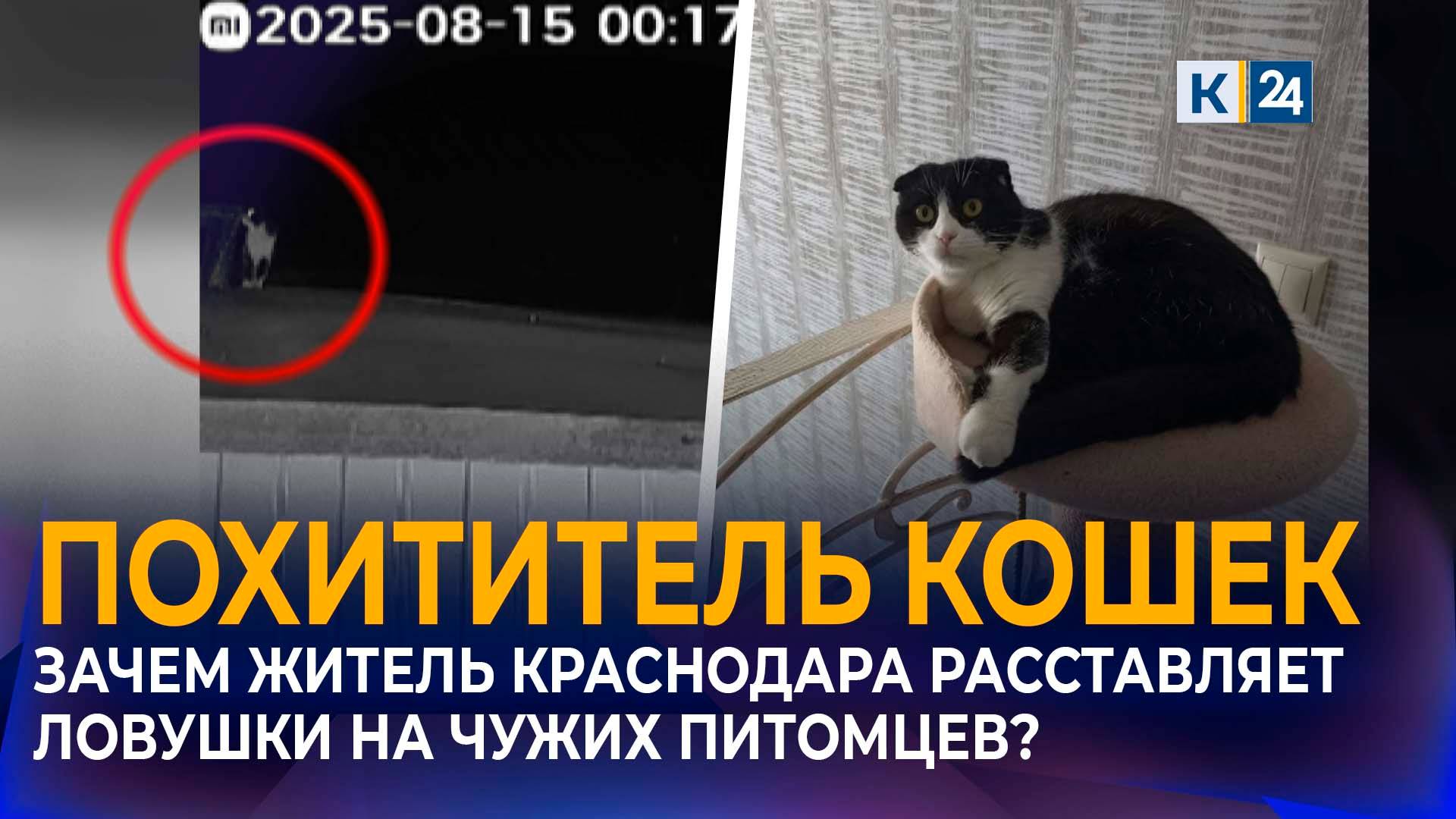 Мужчина расставляет ловушки на кошек в поселке Российском в Краснодаре