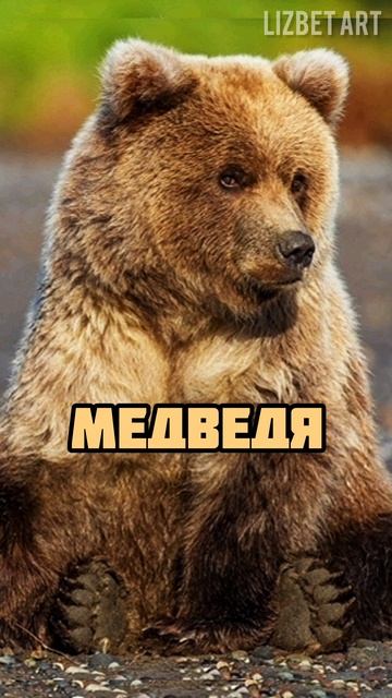 Рисую несуществующее животное 🐻+🐸=❓(ч.103) #tiktok #shorts #art #gouach