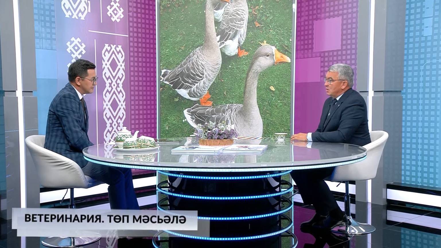 Хәйерле иртә, Республика! - 18.08.2025 Ветеринария. Төп мәсьәлә