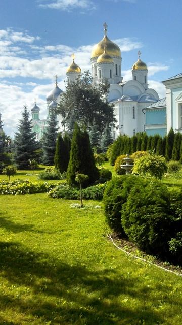 Душевный лекарь#Церковь#shortvideo#shorts#Молитва#Православие