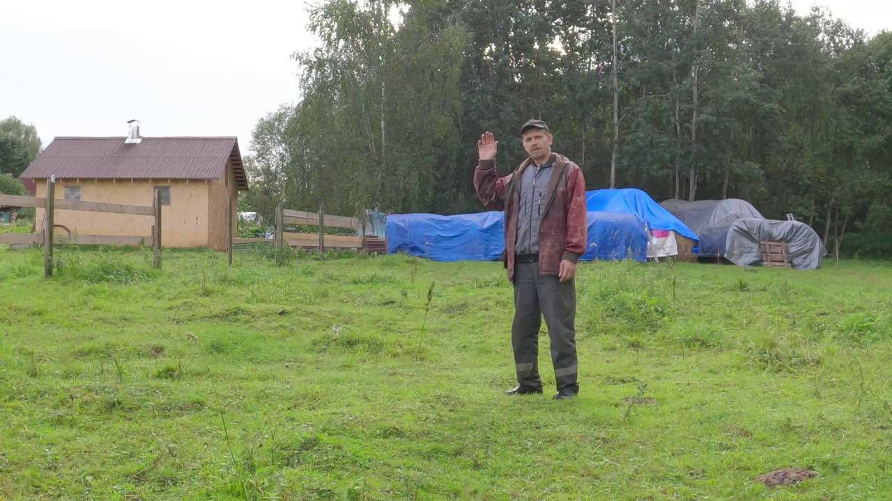 Неделя сплошной копки и деревенские будни!