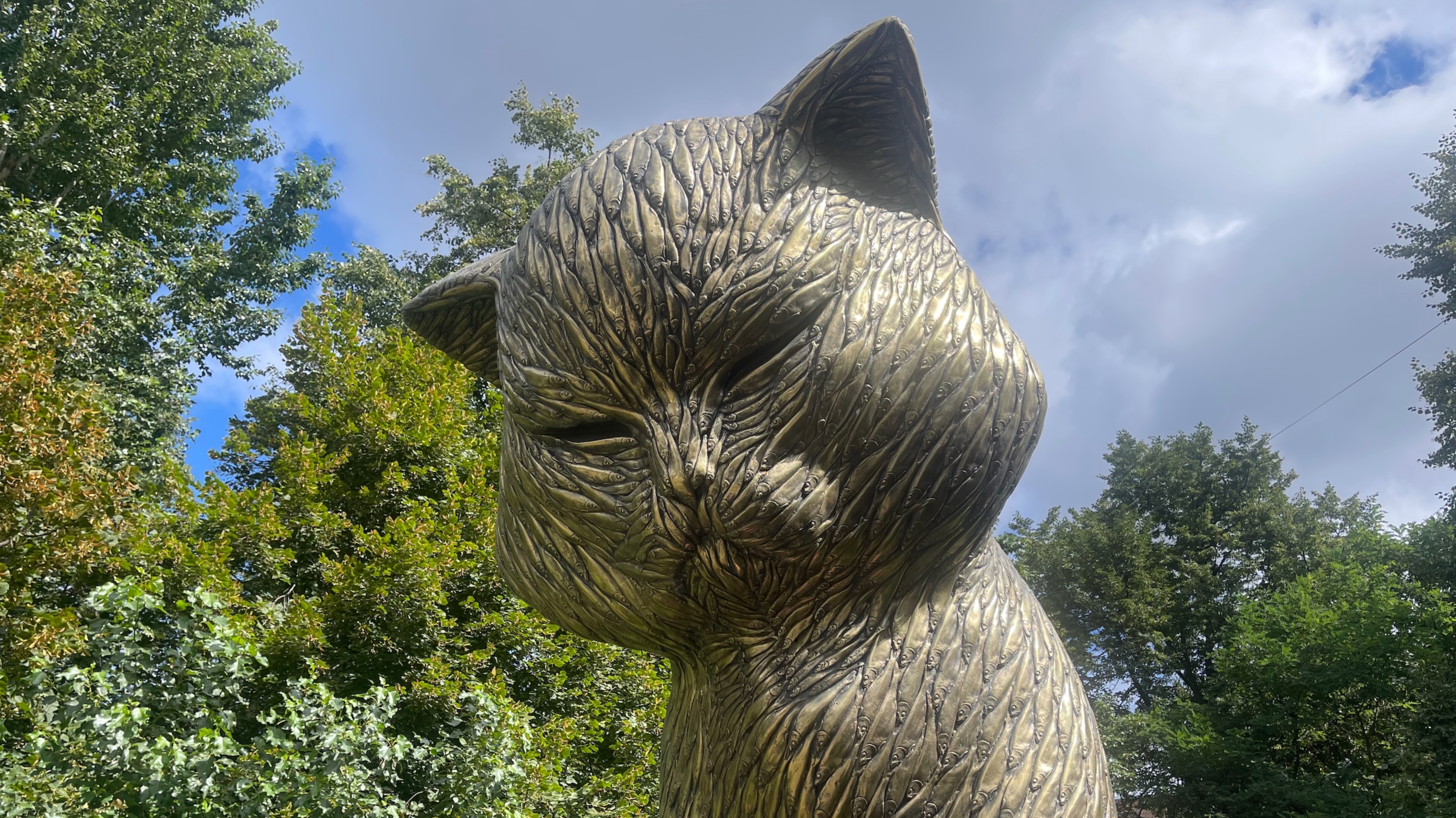 Steam Powered Crocodile & Suno. The most famous cat-2. 0819