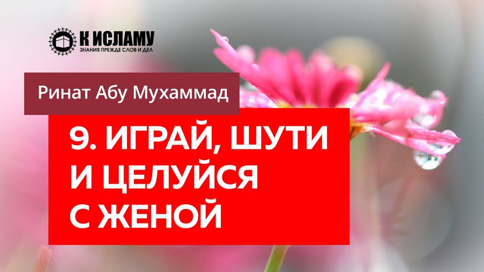 9/40. Играй с женой, шути с ней и целуйся — Ринат Абу Мухаммад
