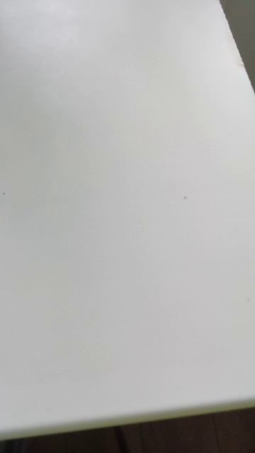 Санц и стикмэны