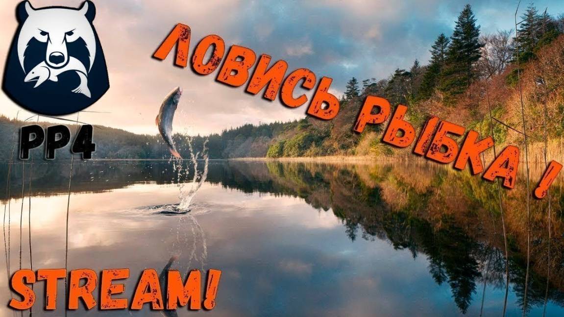 Русская Рыбалка 4 l порыбачим утрецом :)