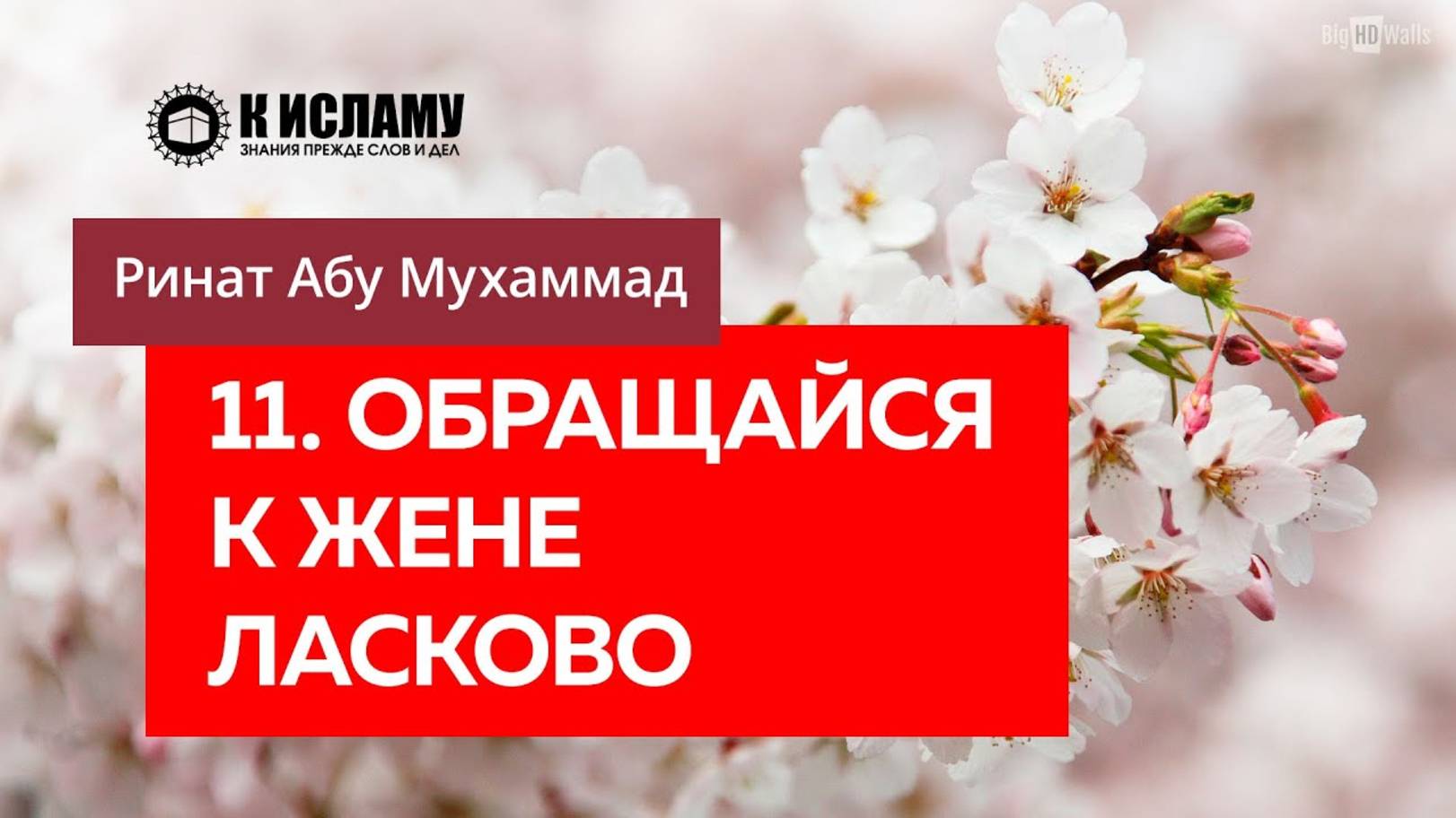 11/40. Обращайся к жене ласково — Ринат Абу Мухаммад